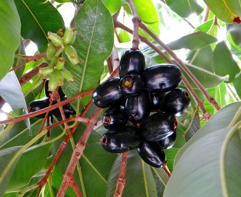 150g Jamun Strips - Nature Pure